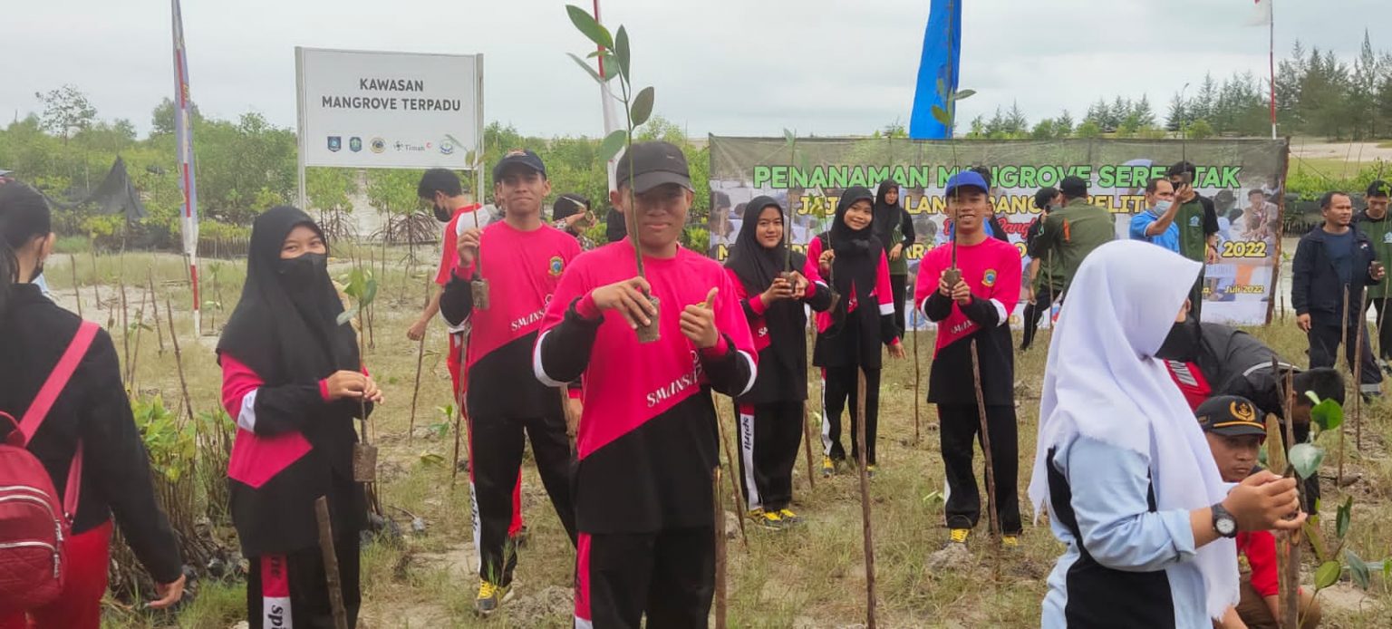 SMAN 1 Pemali Berkontribusi dalam Pelestarian Bakau – SMANSALI